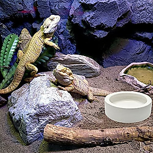 2 Pcs Reptile Food Bowl Ceramic Water Feeder Bowls Anti- Escape Mini Reptile Feeder for Lizard, Gecko etc, Round