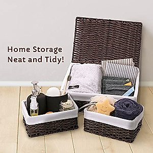 WeeNest Hand Woven Storage Baskets with Lid and Removable Liner| Resin Wicker Baskets for Organizing | Basket Set for Pantry, Living Room | Set of 3, Walnut Brown