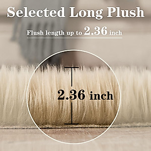 DXGJOKR Faux Fur Rug, Sheepskin Rug, Fluffy Rug, Shag Rug, Fuzzy Rugs for Bedroom, Small Area Rug Bedside Rug Ultra Soft Plush Rug, Machine Washable Rug (Camel, 2x3ft Sheepskin)