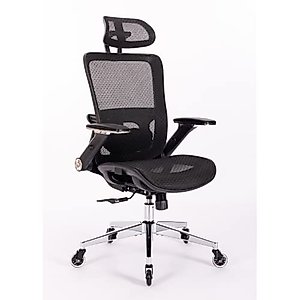Ergonomic Office Chair, Home Office Desk Chairs, High Back Mesh Computer Chair with Lumber Support Adjustable Headrest, Armrest and Backrest, Swivel Task Executive Chair (Black)