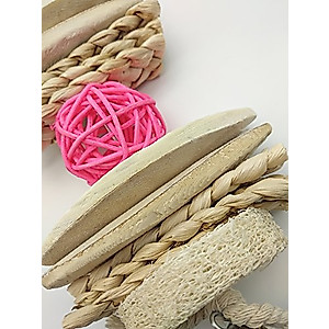 Hypeety Bird Parrot Cuttlebone Toy Bird Chew Toy Colorful Rattan Ball Toy Safe and Fun for African Grey, Amazon Conure Cockatoo Macaw Cockatiel