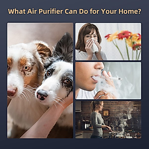 LTLKY Air Purifier for Bedroom,Small Air Cleaner for Desktop,USB Cord Power Version (BS01-Black)