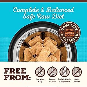 Primal Freeze Dried Cat Food Nuggets Chicken & Salmon, Complete & Balanced Scoop & Serve Healthy Grain Free Raw Cat Food, Crafted in The USA (14 oz)