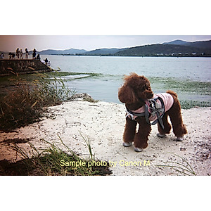 EF-M Mount 32mm/F10 Pancake Lens Focus Free Compatible with EF-M Mount Mirrorless Cameras