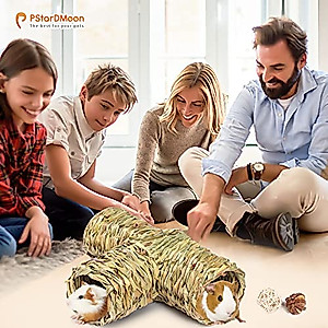 PStarDMoon Hamster Grass Tunnel Toy with Balls Nature's Hideaway Straw House with 4 Open Entrance Guinea Pig Tunnels and Tubes Toys for Rats,Syrian Gerbil,Ferrets,Little Rabbit (Style 1)
