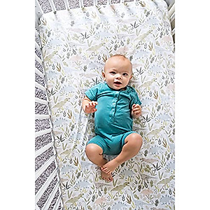 Premium Fitted Knit Crib Sheet/Toddler Sheet Rex by Copper Pearl
