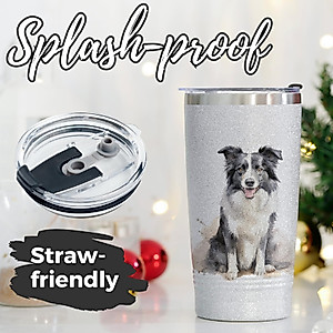 Onebttl Border Collie Gifts for Women/Men, Unique 20oz Border Collie Glitter Tumbler with Lid and Straw, Border Collie Gifts for Birthday, Christmas
