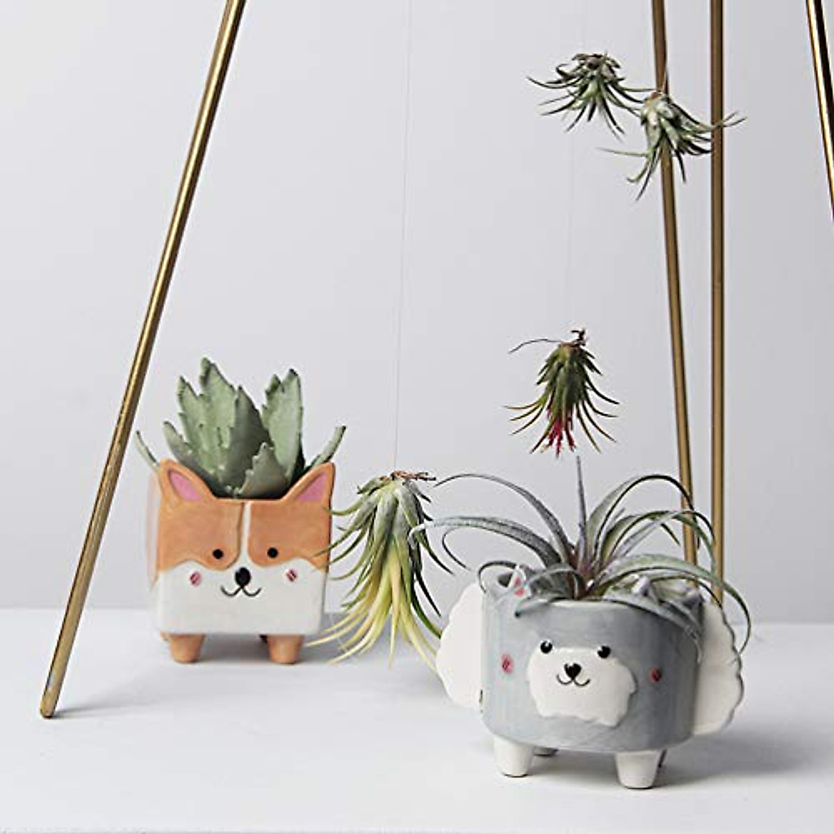 1pc outdoor planter dog flower planter containers porcelain flower planter ceramic cactus plant pots cartoon pots mini vases for flowers Ceramic Pot for Succulent pet decorations