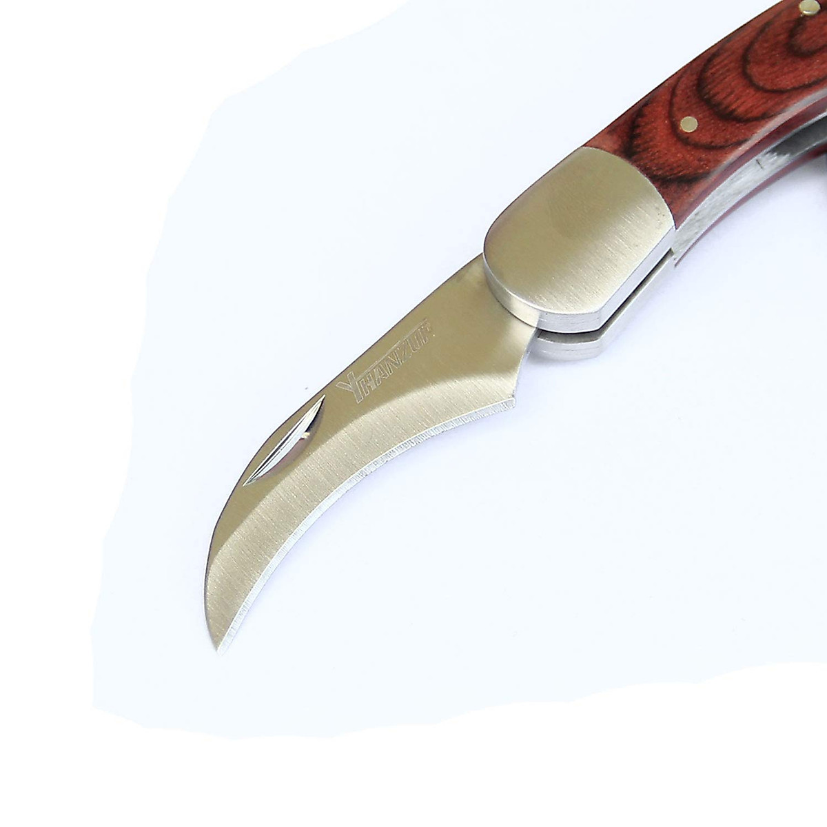 HANZIUP Folding Mushroom Knife with Neoprene Pouch Solid Wood Handle and Foldable Cleaning Brush