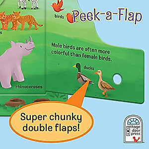 Peek-a-Flap Noah - Children's Lift-a-Flap Board Book Gift for Easter, Christmas, Communion, Baptism (Little Sunbeams)