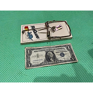 Harrier Hardware 12-Pack Rat Trap Bulk Set - Reliable Double Spring Mechanism with Sturdy Wood Base and Metal Plate for Indoor and Outdoor Quick Strong Snap