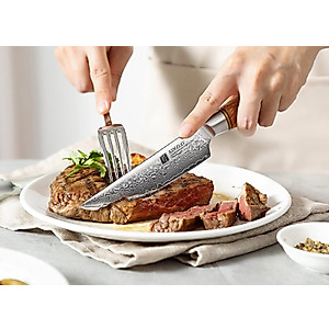 XINZUO Steak Knife Set of 4, Damascus Powder Steel Kitchen Steak Knife Set, Non Serrated Steak Knives, Razor-Sharp Dinner knives with Gift Box, Kitchen Table Knife with Olive Wood Handle-Lan Series