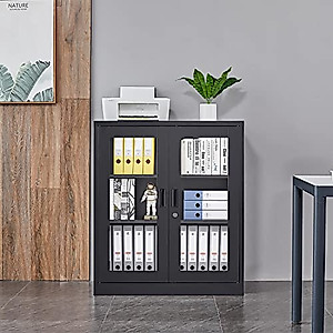 Anxxsu Metal Storage Cabinet with Glass Door, Locking Display Storage Cabinet with 2 Glass Doors and 2 Adjustable Shelves for Home, Office, Bedroom Storage (Black)