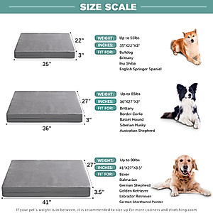 Waterproof Dog Beds Large Medium Sized Dog, Orthopedic Washable Crate Pad 35 inch, Egg Crate Foam Pet Bed with Removable Cover Reversible, Durable Anti-Slip Kennel Bed 35"x22", Gray