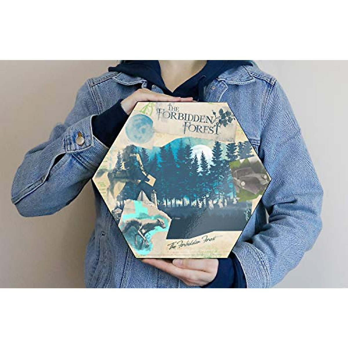 Harry Potter – Forbidden Forest – Watercolor Collage - 11.5” X 10” Hexagon Shaped KNEXAGON Wood Print – Hang Alone or Connect to Other Pieces – Officially Licensed Merchandise