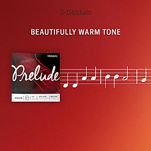 D'Addario Prelude Violin String Set, 1/2 Scale, Medium Tension – J810 1/2M - Solid Steel Core, Warm Tone, Economical and Durable – Educator’s Choice for Student Strings – 1 Set