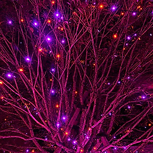 DAZZLE BRIGHT Halloween 300 LED String Lights, 100FT String Lights with 8 Lighting Modes, Halloween Decorations for Party Carnival Supplies, Outdoor Yard Garden Decor (Purple & Orange)