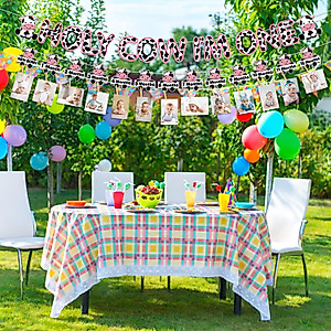 Cow 1st Birthday Decorations, include Holy Cow I'm One Banner, Cow Monthly Photo Banner, Farm Animals Cow First Birthday Party Decorations for Girls First Birthday Party Supplies