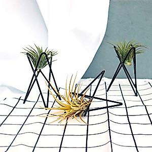 Pack of 4 Air Plant Holder Tillandsia Base, Modern Geometric Metal Air Plant Stand Airplant Display Rack, Tabletop Big Streptophylla Plant Display Table Hand for Home Office Decoration Supplies