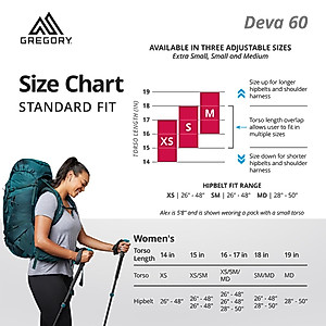 Gregory Mountain Products Deva 60 Backpacking Backpack,Eggplant,Medium