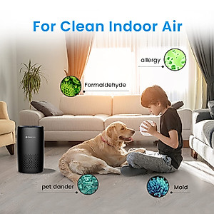 Dreamiracle Purifier Replacement Filter