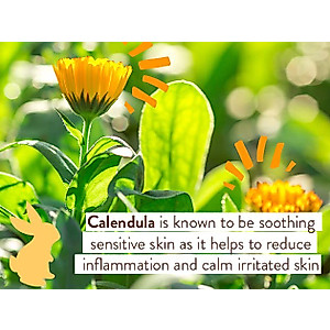 Babo Botanicals Moisturizing Oat & Calendula Conditioner - Silicone-Free - For Dry or Sensitive Skin - For all ages - Vegan - Lightly Scented