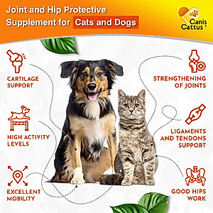 Cat Glucosamine | Dog Joint Supplement Liquid | Cat Vitamin | Dog Vitamin | Glucosamine for Cats and Dogs | Cats and Dog Vitamins and Supplements | Bundle