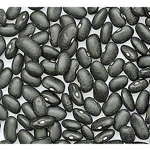 Bean Seed, Black Turtle Bush Bean, Heirloom, Non GMO, 100 Seeds, Terrific Black Beans