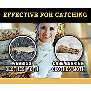 MaxGuard Clothes Moth Traps (6+2 Free Traps) with Extra Strength Pheromones | Non-Toxic Sticky Glue Trap for Closets and Carpet Moths | No Mothballs | Lure, Trap and Kill Case-Bearing Webbing Moths |