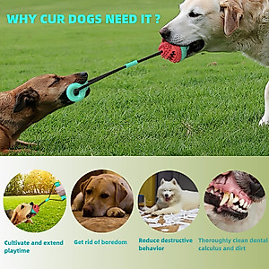 Interactive Dog Toys Tug of War,TPR Dog Chew Toys,Mentally Stimulating Toys for Dogs,Puppy Teething Toys for Boredom,Dog Puzzle Treat Food Dispensing Ball Toy for Small Medium Large Dog