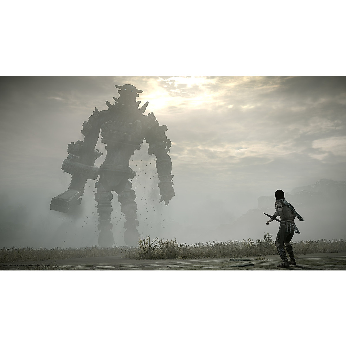 Shadow of the Colossus (PS4)