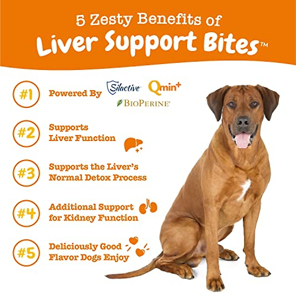 Zesty Paws Liver & Kidney Support Supplement for Dogs - with Milk Thistle Extract, Turmeric Curcumin, Cranberry & Choline - Natural & Grain Free Soft Chew Formula - for Dog Liver Function & Detox