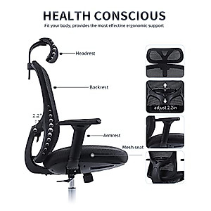 KARXAS Ergonomic Office Chair High Back Desk Chair with Adjustable Lumbar Support, Headrest & Armrest, Swivel Computer Task Chair (Black)