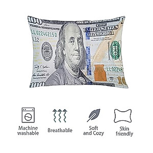 Satin Pillowcase for Hair and Skin Money 100 Dollar Bill Silk Pillowcase Soft Satin Cooling Pillow Covers No Zipper with Envelope Closure Standard Size 20 × 26inch 1 Pcs