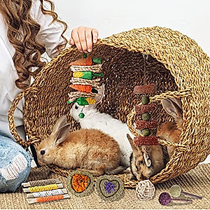 SMANGY Rabbit Chew Toys 19pcs,Bunny Toys for Rabbits,Natural Timothy Hay Sticks for Teeth,Handmade Chew Treats and Balls for Bunny, Chinchilla,Bunny Teeth Care
