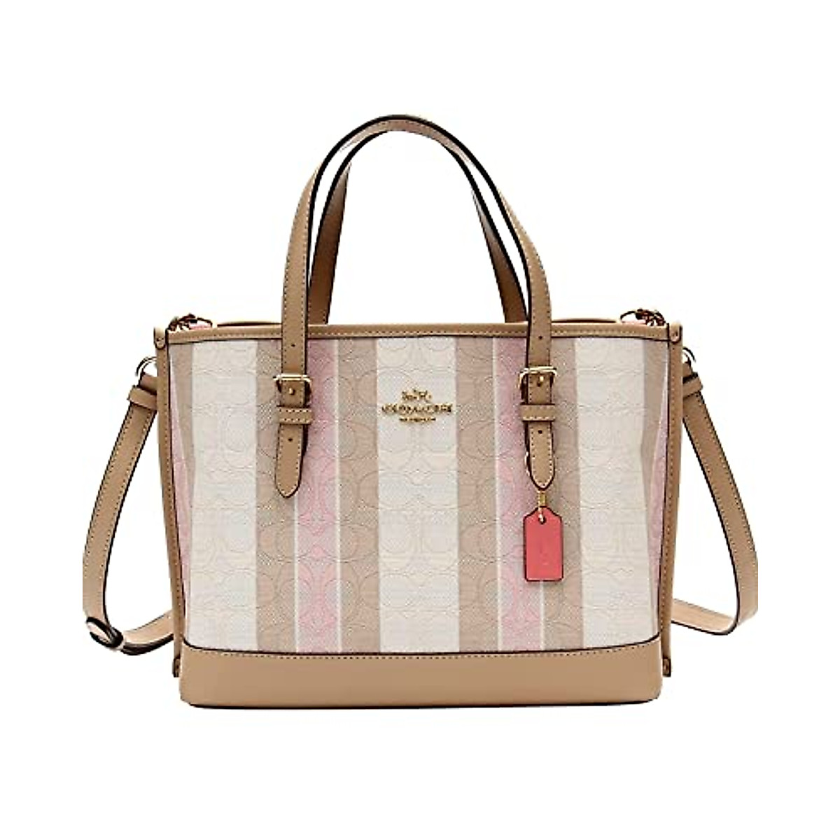 COACH Womens Mollie Tote 25 (IM/Taffy Multi)