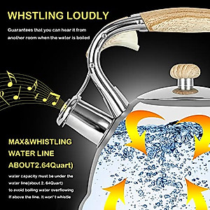 BAERFO 3.17 QT Stove Top Whistling Tea Kettle,Stainless Steel Teakettle,Teapot for Stove with Premium Zinc Alloy Silicone Grip(Silver)