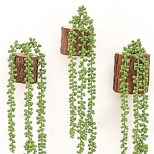 Sunrisee 2 Pcs Artificial Hanging Succulents Plants Faux String of Pearls Plant Wall Hanging Succulent Vines for Home Garden Wall Decoration, 2.3FT