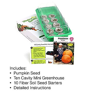 Window Garden - Pumpkin Vegetable Starter Kit - Grow Your Own Food. Germinate Seeds on Your Windowsill Then Move to a Patio Planter or Vegetable Patch. Mini Greenhouse System - Easy. (Pumpkin)