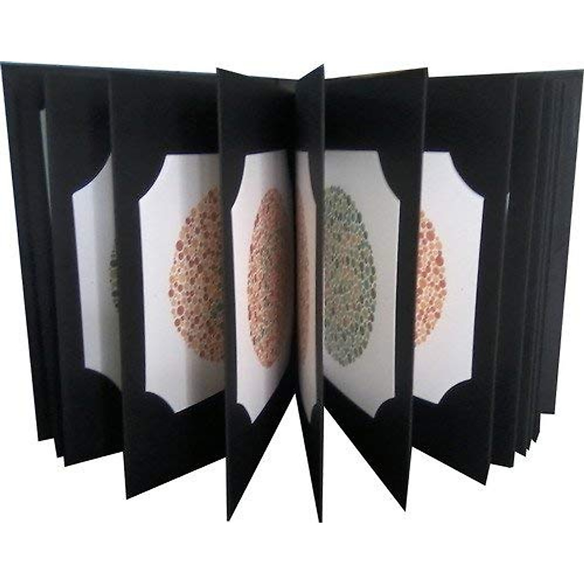 Crabby Ishihara Test Chart Books for Color Deficiency 38 Plates Latest Edition with User Manual