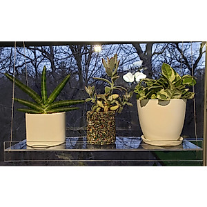 SUPREMETECH Hanging Acrylic Shelves for Windows (16" Wide, 1 Shelf - 26" Tall)