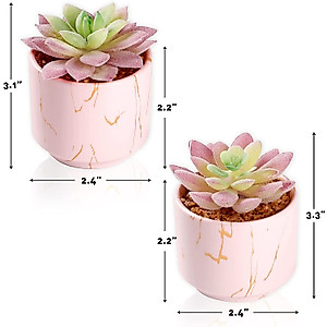 zenmag Fake Succulents, Mini Succulents Plants Artificial in Pink Ceramic Pots for Desk Livingroom Bathroom and Home Decoration Office Decor for Women Set of 2 Artificial Succulents