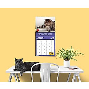 2023 Too F*cking Cute Cats Wall Calendar: A Year of D*mn Adorable Kitties (Funny Monthly Calendar & White Elephant Gag Gift for Cat Lovers)