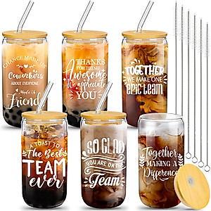 Purpeak 6 Set Employee Appreciation Gifts Thank You Gifts for Staff Coworker Thank You Glass Cups 16 oz Can Shaped Beer Glass with Lids Straws Brushes for Team Teacher Nurse(Inspirational Style)