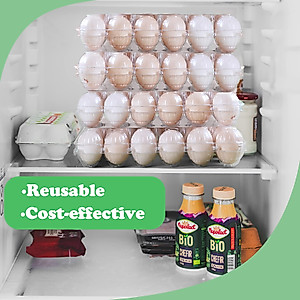 HILELIFE Plastic Egg Cartons Bulk - 40 Pack Clear Plastic Egg Carton Holds Up to 12 Eggs - 1 Dozen, Reusable Egg Carton for Family Pasture Chicken Farm, Refrigerator Storage