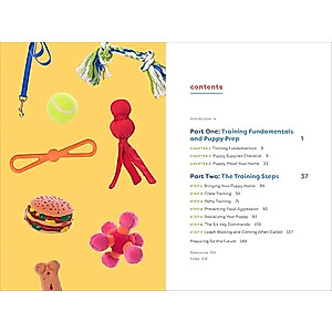 Puppy Training in 7 Easy Steps: Everything You Need to Know to Raise the Perfect Dog