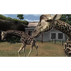 Animal Resort: Dobutsuen o Tsukurou!! [Japan Import]