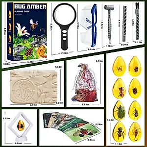 Amber Dig Kit - Insects in Resin, 8 Insects Specimens Excavation Kit, Geographic Bug Toys for Kids, Educational Science Kits for Bugs Collection, STEM Toys for Boys & Girls Age 6 and up Birthday Gift