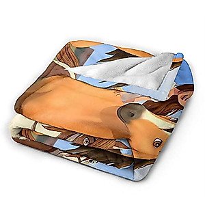 Throw Blankets,Ultra-Soft Micro Fleece Blanket for Couch Or Bed Warm Throw Blanket (50"X40")