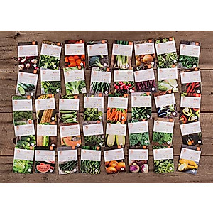 Bentley Seed Co. Set of 40 Vegetable Seeds for Planting - Gardening Seeds to Grow in a Garden or Indoors - Get your own Seeds for Planting Vegetables - Herb Seeds - Garden Seeds Vegetable Variety Pack